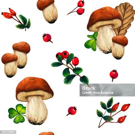 수채화 이음새가 없는 패턴 야생 숲 버섯 포르치니와 가지 붉은 열매 자연 숲 잔디밭 장면입니다 야생의 풍경 흰색 배경에 고립된 생태 자연 그림 0명에 대한 스톡 벡터 아트