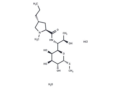 Lincomycin Hydrochloride Monohydrate 林可霉素 Ribosome Targetmol