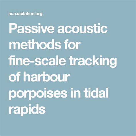 Passive Acoustic Methods For Fine Scale Tracking Of Harbour Porpoises In Tidal Rapids Harbour