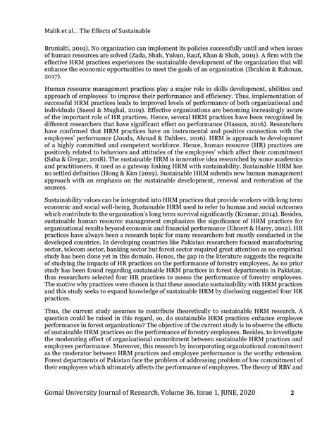 Solution The Effects Of Sustainable Human Resource Management