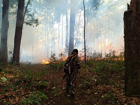 การดำเนินงานแก้ไขปัญหาฝุ่นควันจังหวัดเชียงใหม่ 24 มีนาคม 2563 อ ดอยสะเก็ด อุทยานแห่งชาติแม่