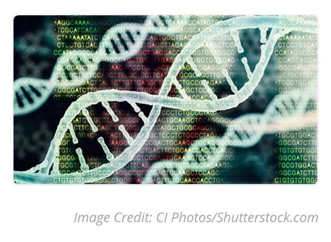 Dr Chakravarthi Mohan On Linkedin Bioinformatics Bioinformatics Ai