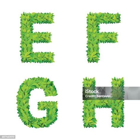 Abc 잔디 편지 번호 요소를 나뭇잎 현대 자연 플 라 카드 레터링 잎이 낙 엽 벡터 세트 E F G H 잎 애기 엽 자연 편지