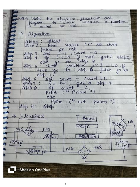 Pps Assignment 1 Pdf