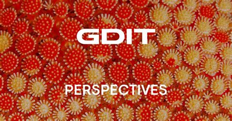 Evolving Cyber Defenses Using In Hand Data Gdit