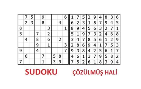 Sudoku Oyun KÜtÜphanesİ