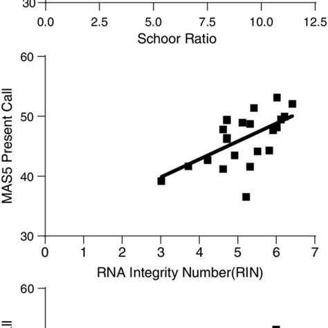 Representative Electrophoretic Trace Of A Postmortem Rna Sample