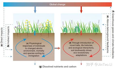 生物多样性 45【nature：地下生物多样性和生态系统功能（综述）】 知乎