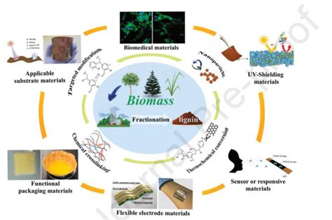 Schematic Illustration Of Tailored Lignin Derived Composites Films In Download Scientific