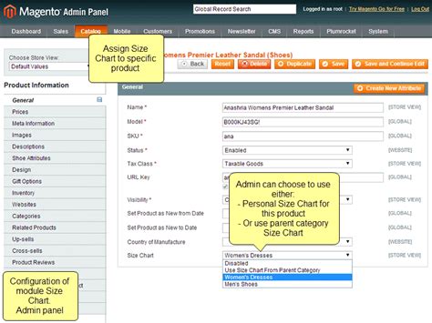 magento size chart v1 x overview plumrocket documentation