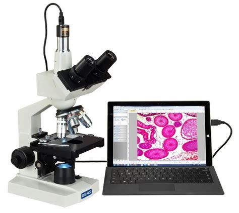 Windows And Mac Omax 3 1mp Usb Digital Eyepiece Camera For Microscopes