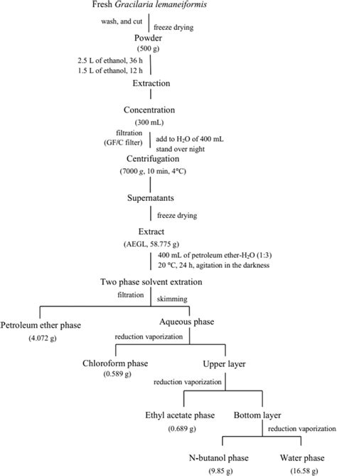 A Flow Chart Of Extraction And Isolation Download Scientific Diagram