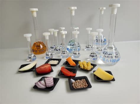 Analyse Von Elementen In Rohen Gekochten Und Tiefgekühlten