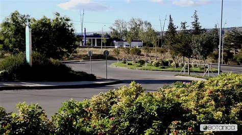 ისთ ფოინთი Botanica Ge