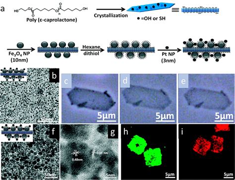 A Schematic Representation Of The Fabrication Process Of A Pcl Psc Download Scientific Diagram