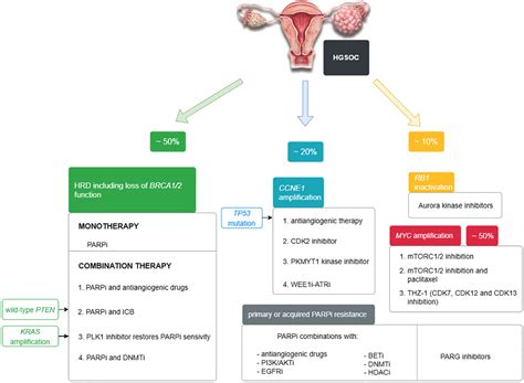 Ovarian Cancer Diagnosis 33e0