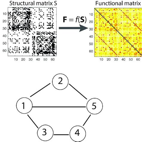 Schematic Of Structure To Function Network Mapping And A Network With