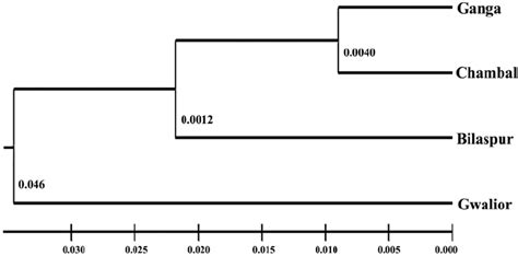 UPGMA Clustering Of Genetic Distance Showing Phylogenetic Relationship Download Scientific