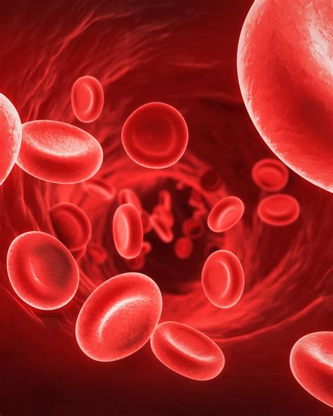 Lhémoglobinurie Paroxystique Nocturne Maladie Rare