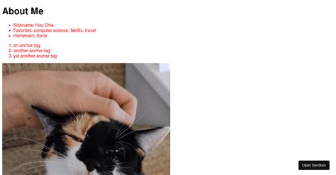 Starter Creating Dynamic Web Pages Dom Manipulation Codesandbox