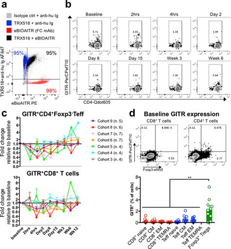 Modulation Of Gitr⁺ T Cells After Trx518 A Hek293 Cells Transfected Download Scientific