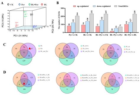 Multi Omics Analysis Reveals Synergistic Enhancement Of Nitrogen