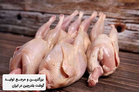 صادرات گوشت بلدرچین از ابتدا تا انتها