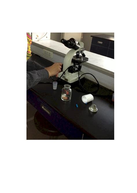 Docx Wbc Cell Count Lab Diagnostics Dokumentips