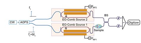 A Experimental Setup For Dual Comb Spectroscopy For The Acetylene Gas