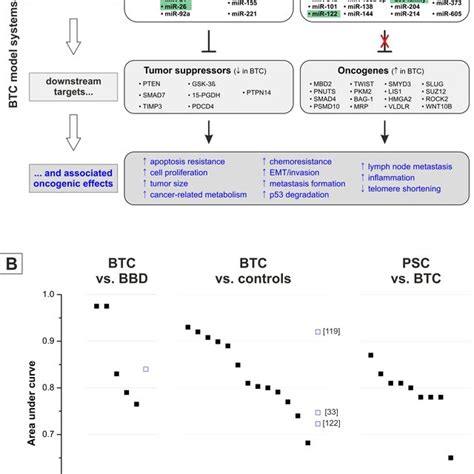 micro rnas and their targets in biliary tract cancer potential of