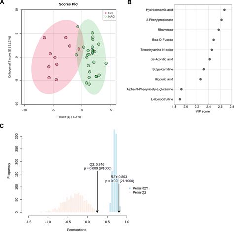 Orthogonal Partial Least Squares Discriminant Analysis Opls Da Of Download Scientific Diagram
