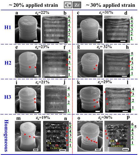 Deformation Of The Heterogeneous Nanolayer Samples Ie H1 1st Line