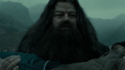 Things You Only Notice About Harry Potter As An Adult