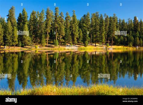 Walton Lake Ochoco National Forest Oregon Stock Photo Alamy