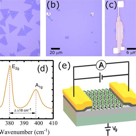Pdf Monolayer Mos2 Field Effect Transistor With Low Schottky Barrier Height With Ferromagnetic