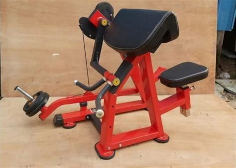 Bicep Curl Machine For Gym At Rs In Ahmedabad ID