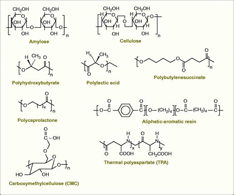 Biodegradable Polymers For The Environment Science