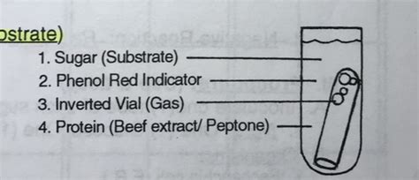 Fermentation Test Regnum Prokaryotae Software