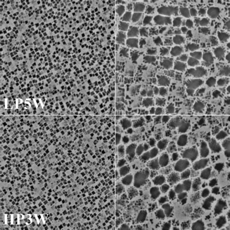 Morphology Of The Secondary γ′ Precipitates In Dendritic Region And