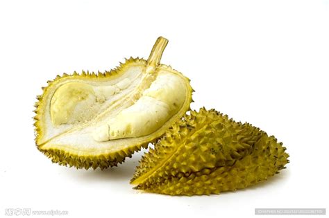 榴莲摄影图 水果 生物世界 摄影图库 昵图网