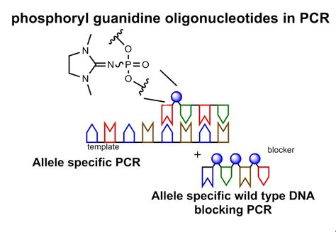 Diagnostics Free Full Text Allele Specific Pcr For Kras Mutation