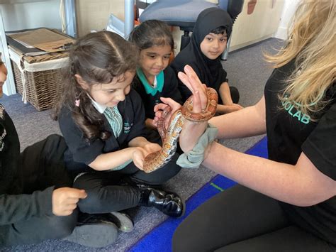 Reception Year Sidney Stringer Primary