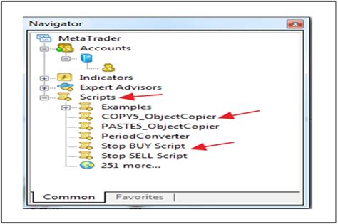 Script Là Gì Định Nghĩa Script Và Phân Biệt Với Ngôn Ngữ Lập Trình Jobsgo Blog