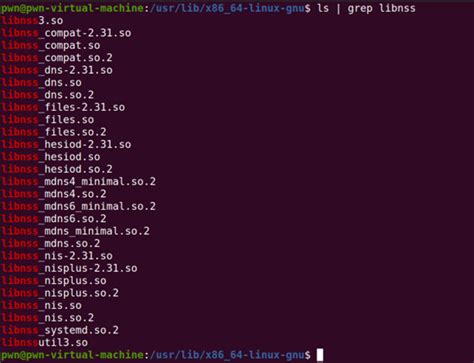 Unveiling The Sudo Heap Overflow Vulnerability Cve 2021 3156 A