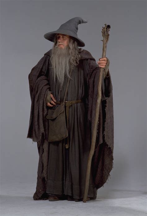 Pin By Bryana Michelle On I Will Take The Ring Gandalf Gandalf The