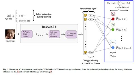 Paper Rank Consistent Ordinal Regression For Neural Networks With Application To Age