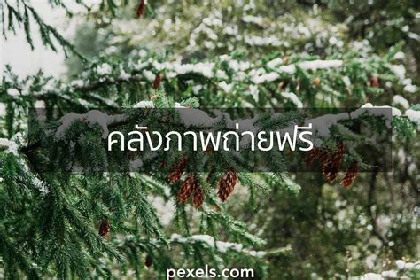 200 000 ภาพถ่าย ทำความสะอาดธรรมชาติ ที่ดีที่สุด · ดาวน์โหลดฟรี 100 · ภาพถ่ายสต็อก Pexels