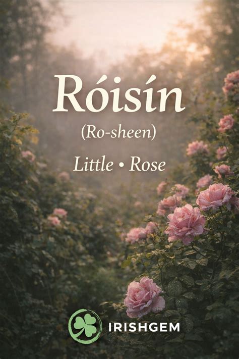 The Irish 🌿 Irish Girls Names And Their Meanings 🇮🇪 Róisín Pronounced