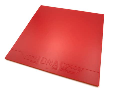 Stiga DNA Pro M | Die Medium-Version | Test & Vergleich