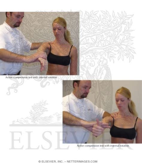 Active Compression Test